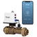 FloLogic 2-Inch Leak Detection and Auto Water Shutoff System with Gate